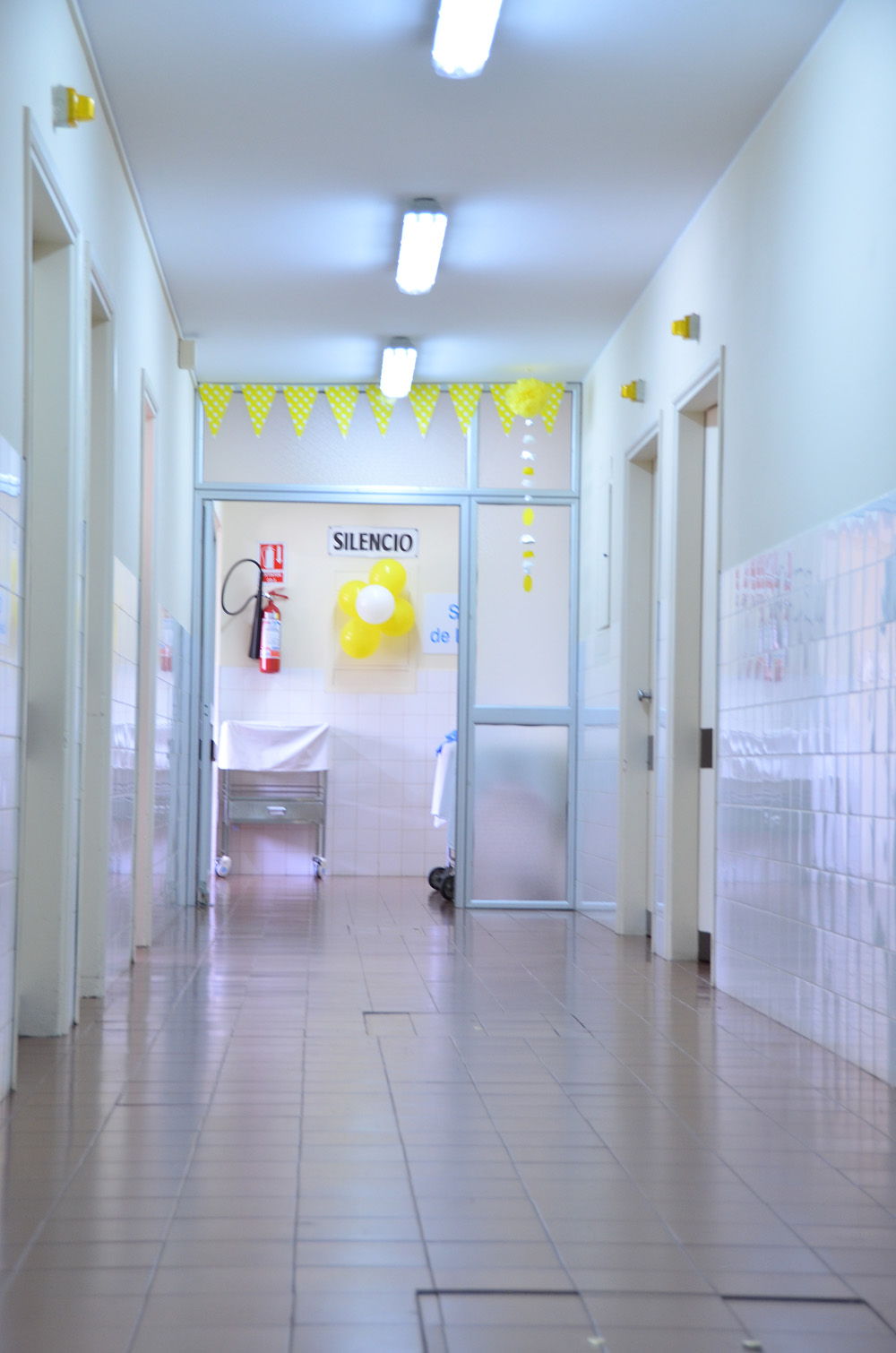 ASSE - Young: 90 % de nacimientos son por parto vertical e índice de ...